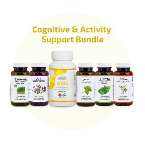 Cognitive & Activity Support Bundle – VETA Package - Hekma Center
