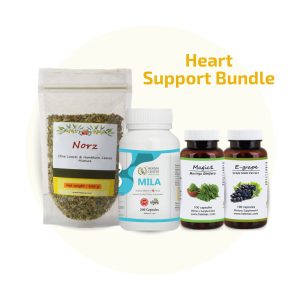 Heart Support Supplements - Hekma Center